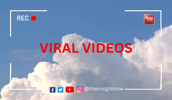Top Viral Video - The Insight Today